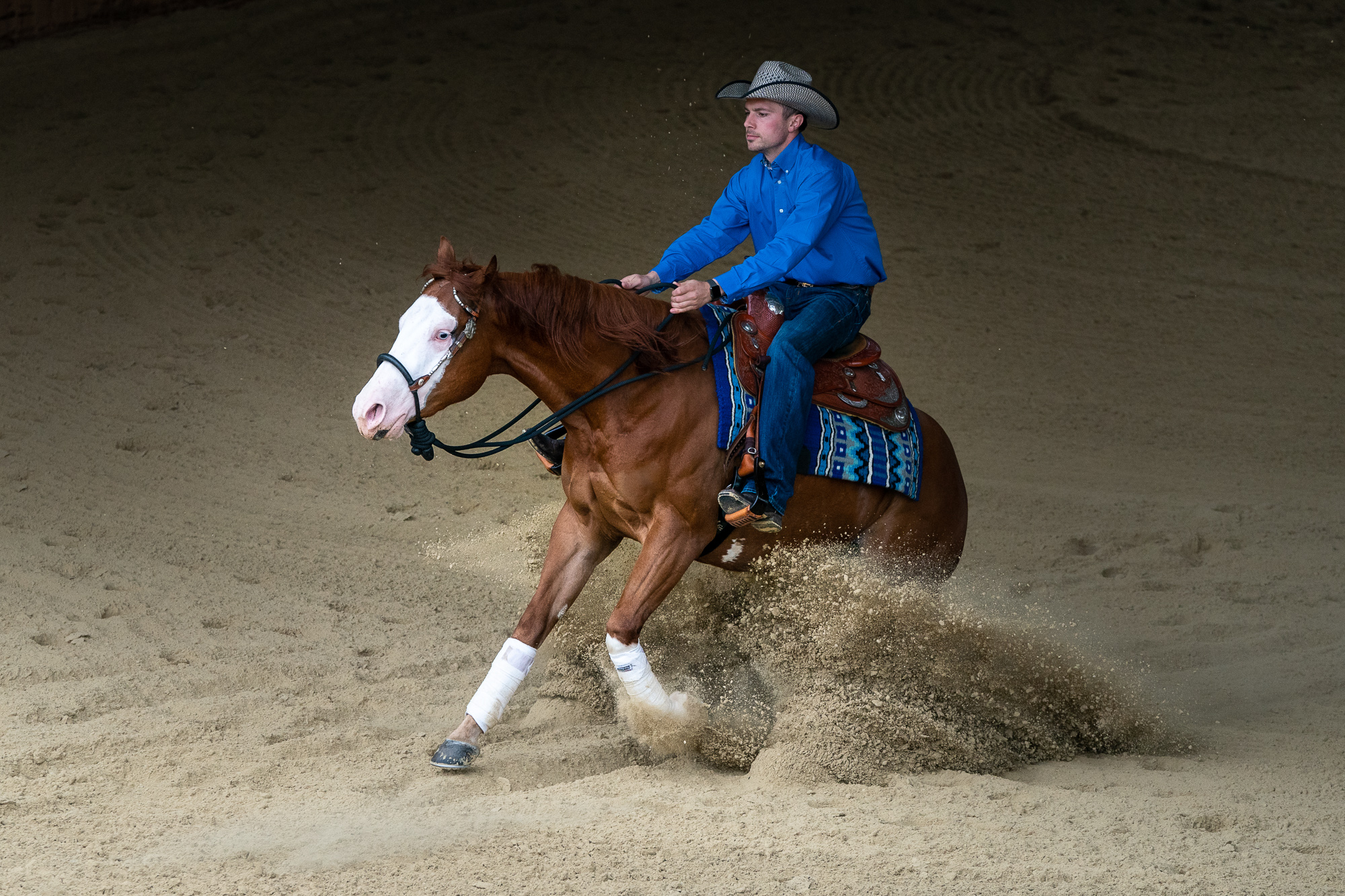 LG Quarter Horses