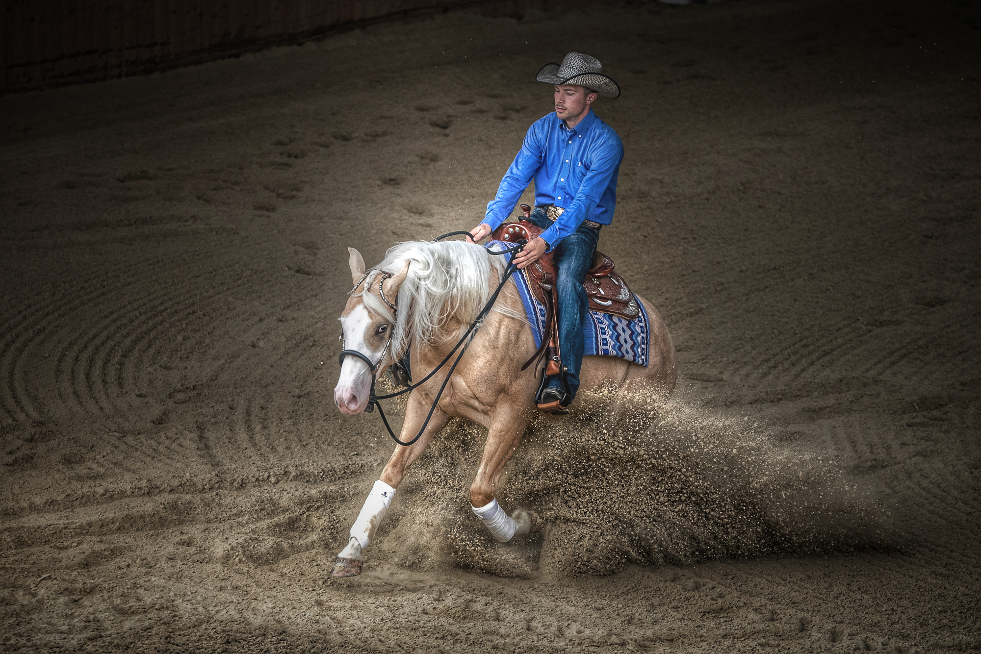 LG Quarter Horses
